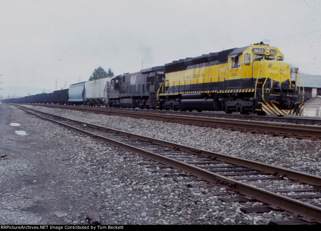 Yellowjacket forward